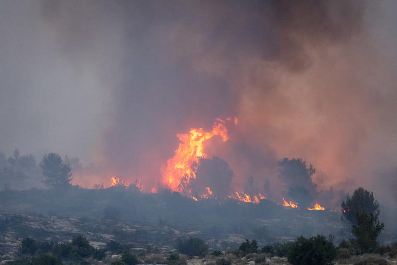 Incendies : Israël mal préparé pour faire face aux incendies, pointe le ...